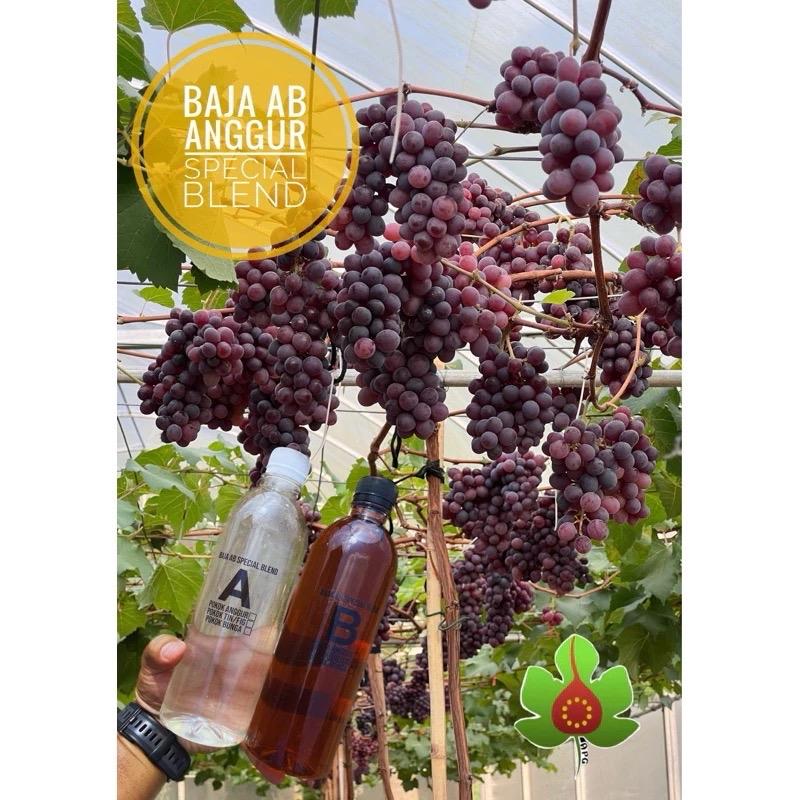 Baja AB Anggur Special Blend - TikTok Shop Malaysia