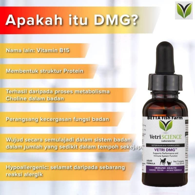 Vetri Scrience DMG Liquid, Immune Support 30ML - TikTok Shop Malaysia