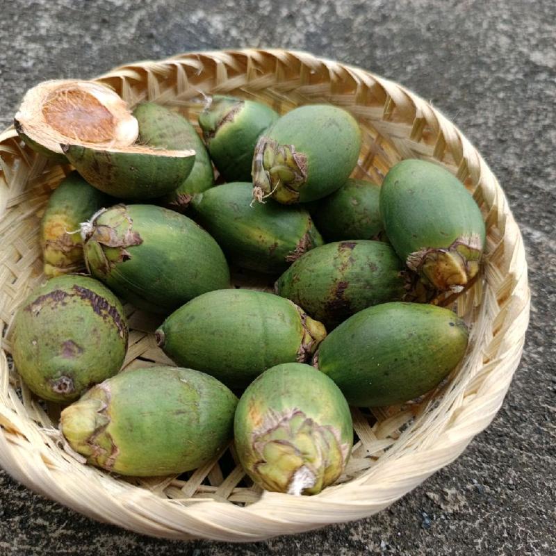 Buah Pinang Muda Segar Tanpa Kimia yang sangat banyak manfaatnya - Shop ...