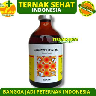 JECTAVIT B12 100ML SANBE - Vitamin B12 Sapi Domba Kambing Kuda - Shop ...