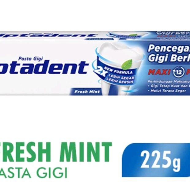 Ciptaden fresh mint berbagai variant kemasan jumbo 225g - Shop | Tokopedia