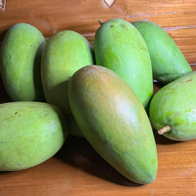 mangga kiojay free bumbu bangkok segar manis asem kriuk - Shop | Tokopedia