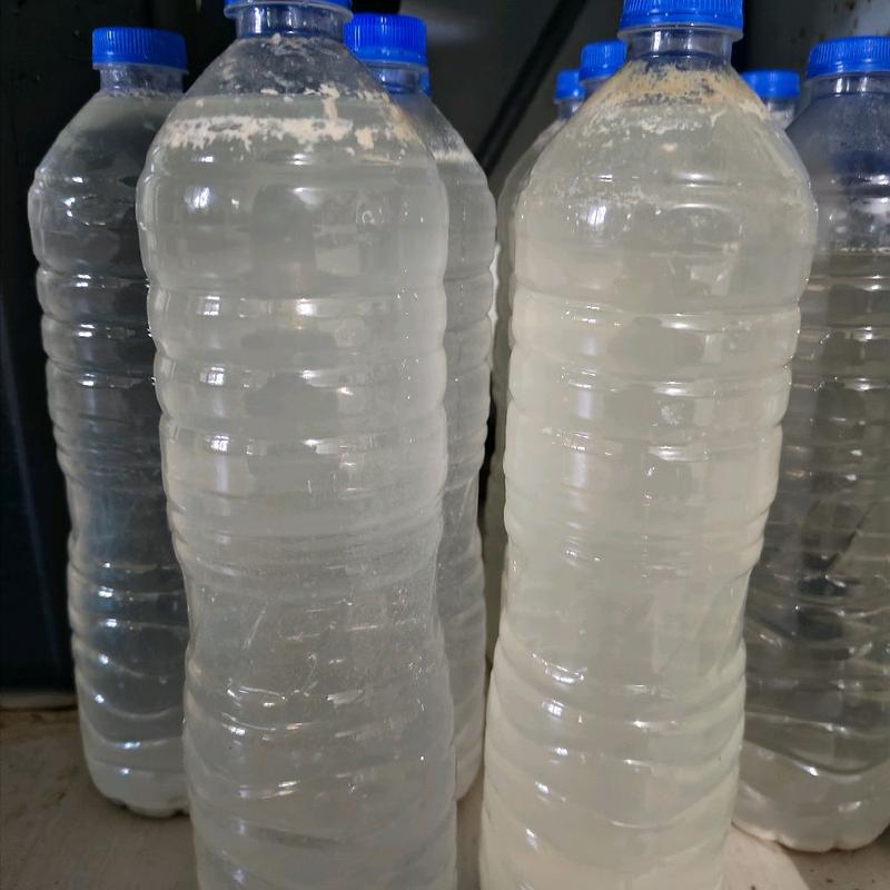 Baja Air Beras Peram 1kg RM2 / Air Beras Murah - TikTok Shop Malaysia