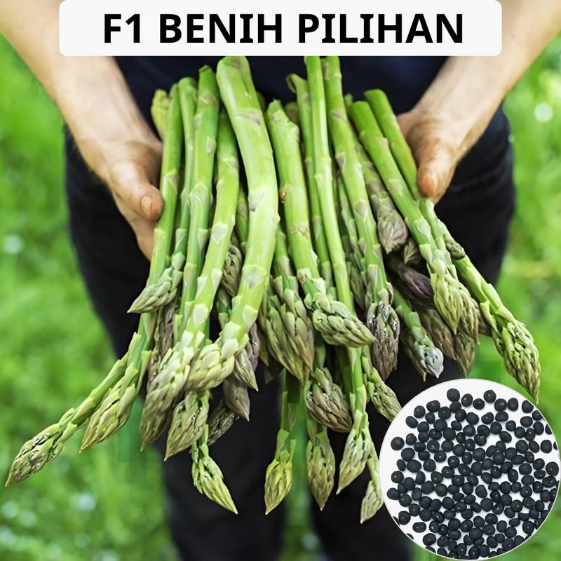 【Stok Sedia Ada】Benih Asparagus Yunani F1 Tulen 50 biji, 97% - TikTok ...