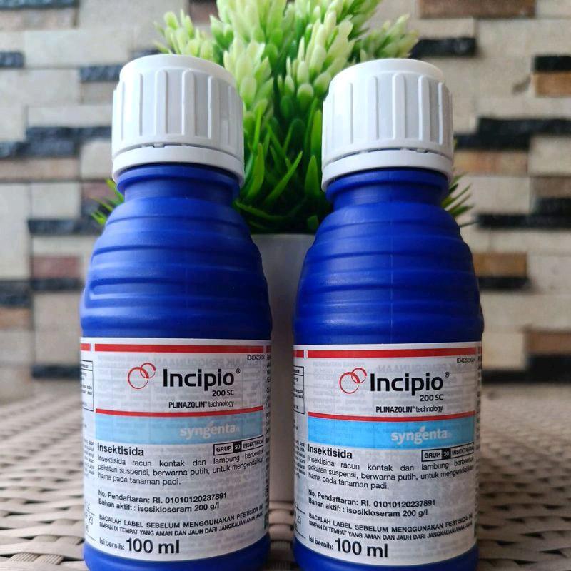 Insektisida Incipio 200 SC 100ML Original Syngenta obat pengendali ...