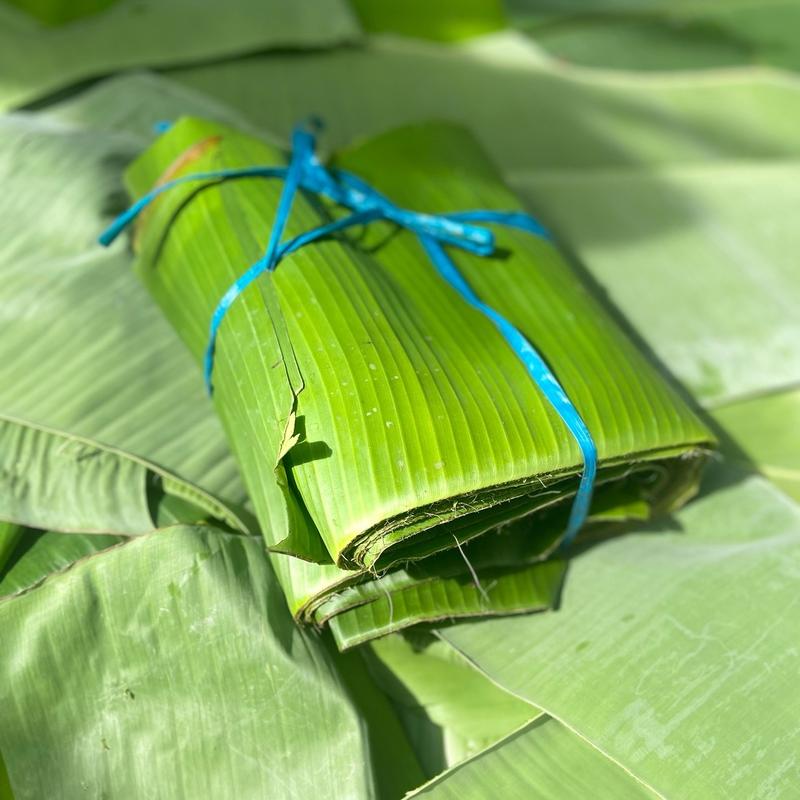 Daun pisang segar dari kebun (fresh banana leaf) from kebun - TikTok ...
