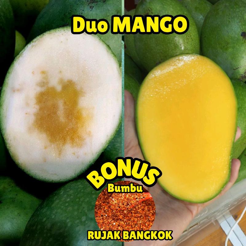 PAKET DUO MANGO Mangga Madu Gadung Harum Manis Manalagi Tua Kemrampo ...