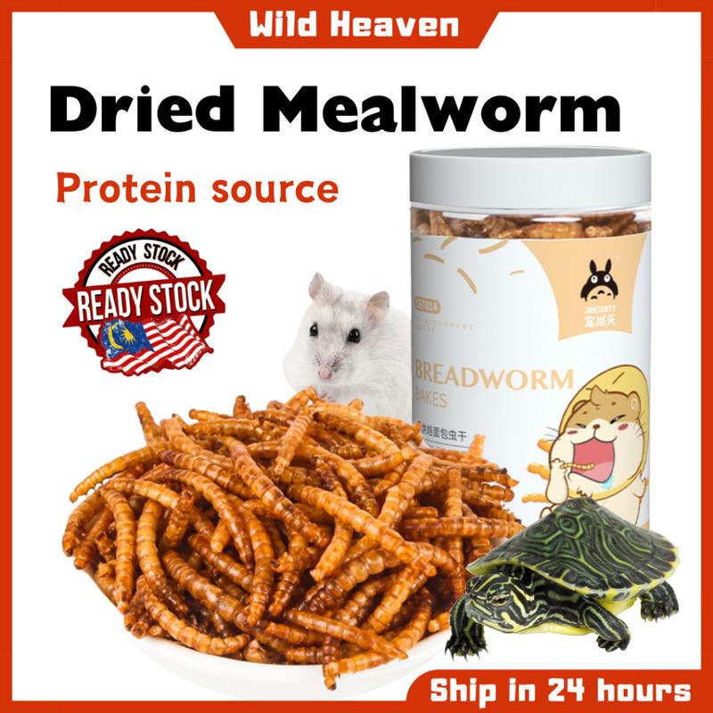 Dried Mealworm Turtle Treat Food Sugar Glider Bird Feed Kura - TikTok ...