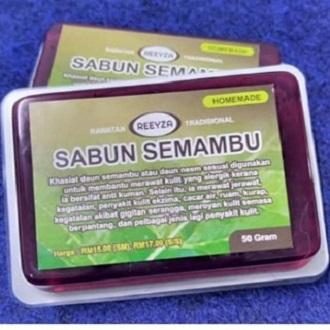 Sabun Daun Semambu Reeyza menghilangkan Gatal, Kurap dan Panau - TikTok ...