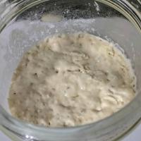 Jual Sourdough Starter/ wild yeast/ ragi alami untuk roti sourdough ...