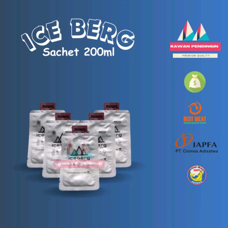 PAKET 6 Kantong ICEPACK / COOLPACK / ICEGELL - ICE BERG 200ml - Shop ...