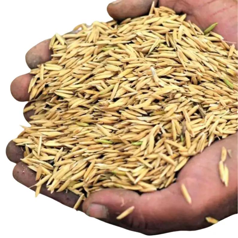 Sekam Padi Mentah Organic Rice Husk 1 Guni/1 Sack (+- 9kg) stok ...