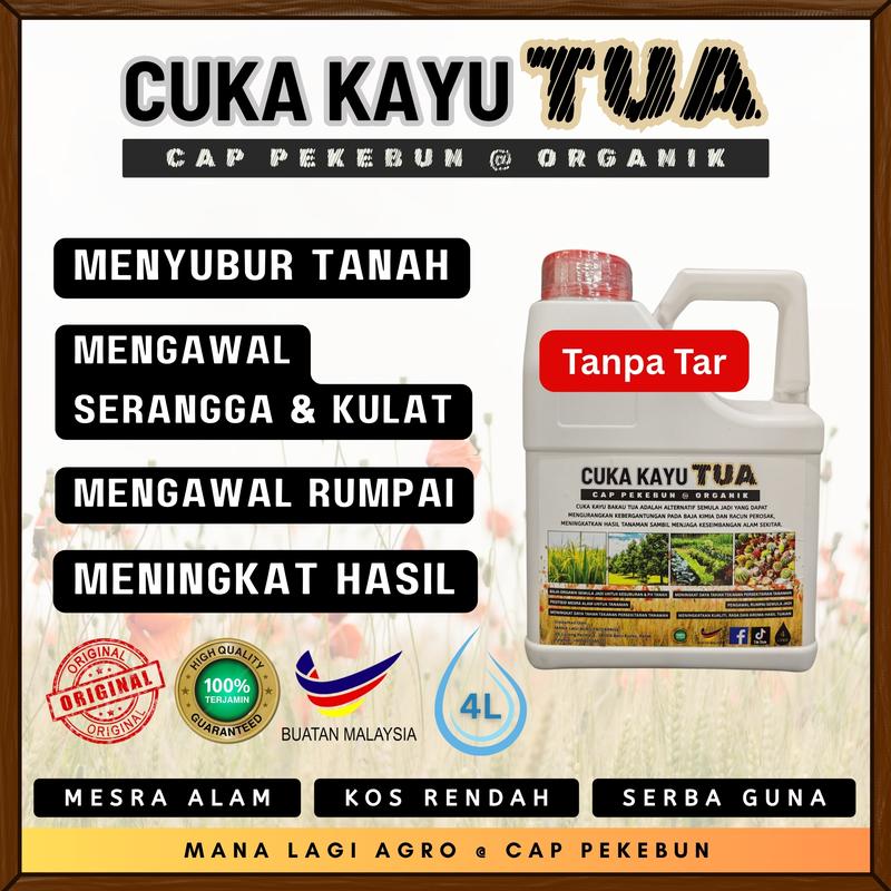4L CUKA KAYU TUA BAKAU ORGANIK TANPA TAR CAP PEKEBUN - TikTok Shop Malaysia