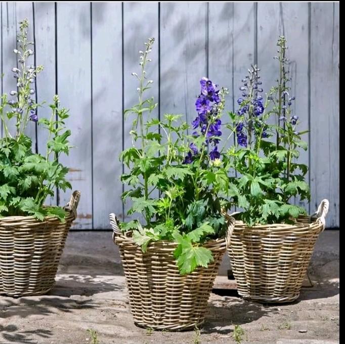 Standing pot tanaman rotan premium natural - Shop | Tokopedia