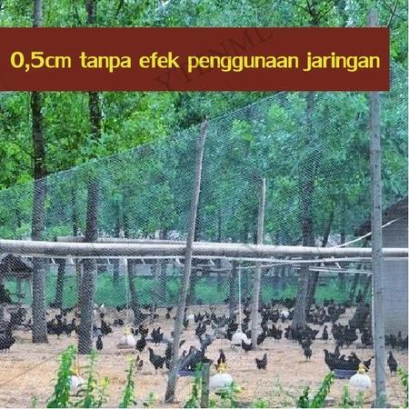 CODhanya digunakan sebagai kantong kemasan.Lebar 2,5 meter x panjang 50 ...