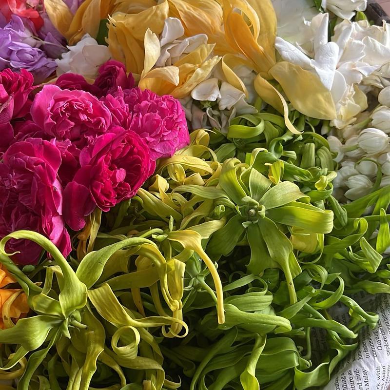 Set mandian 7 jenis bunga + limau purut 7 + limau nipis 7 + - TikTok ...