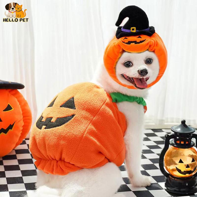 Pakaian Transformasi Labu Anjing Halloween, Pakaian Dua Kaki - TikTok ...