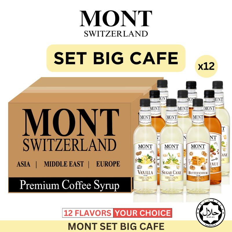 1 BIG Carton Mont Switzerland Flavor Syrup (1 Carton 12 bottles ...