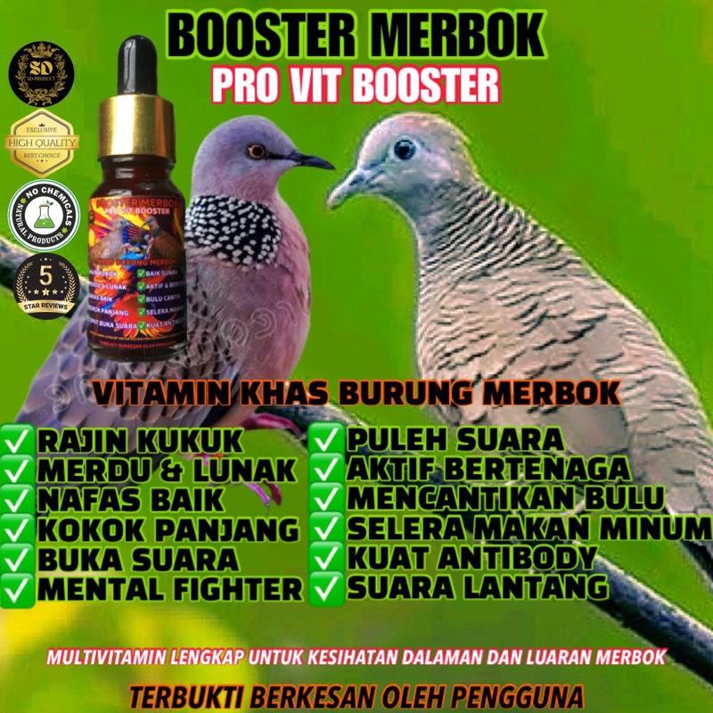 Booster merbok terkukur vitamin burung jenis merbok terkukur - TikTok ...