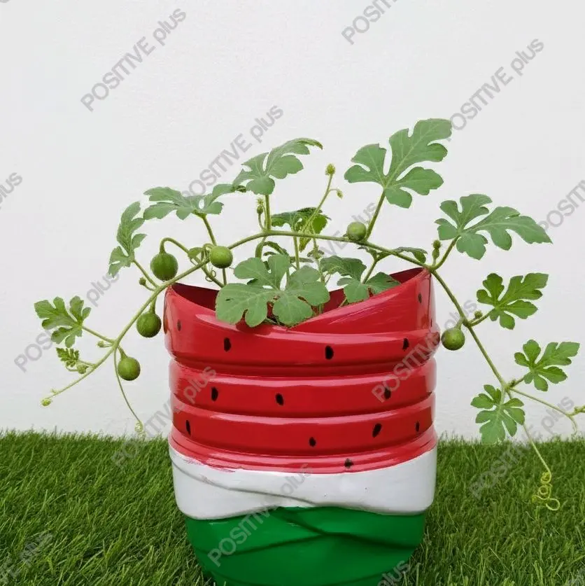 Pot Karakter Semangka dari Galon Le Mineral Ukuran 15 Liter Motif Merah ...