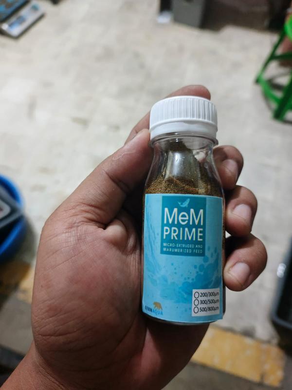 Pelet Mem Prime 50gr - Makanan ikan Cupang , guppy dan hias - Shop ...