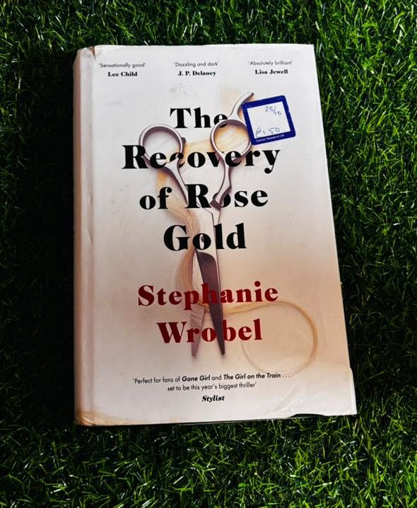 The Recovery of Rose Gold by Stephanie Wrobel - Hardbound-Psychological ...