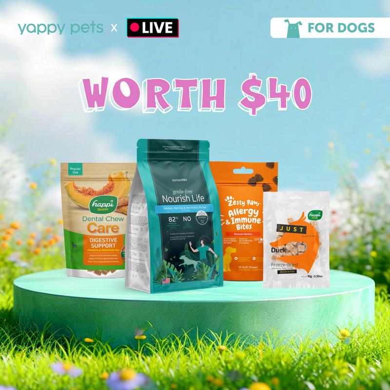 Yappy Pets Brand Box for Dogs [Exclusive for LIVE] - TikTok Shop Singapore