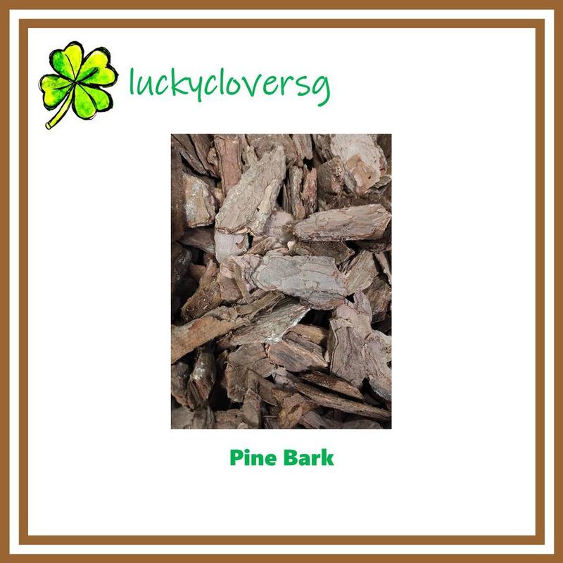 [0.75L, 2L, 4L] Pine Bark For Mulching / Mulch / Planting / Gardening ...