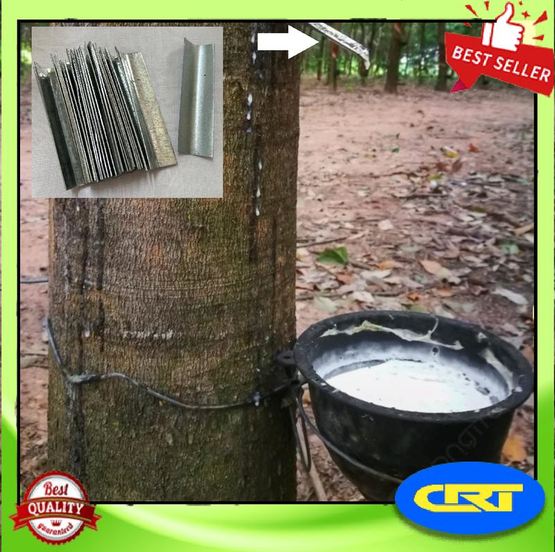 Sudu Pokok Getah 200gram Lidah Pokok Getah - TikTok Shop Malaysia