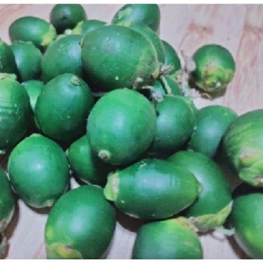Buah pinang muda segar per 10 biji - Shop | Tokopedia