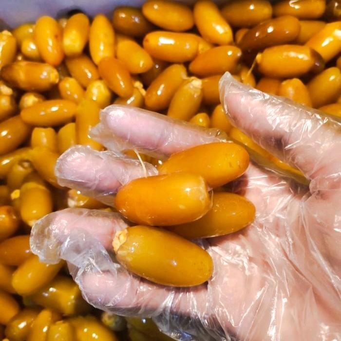 Kurma Ruthob Libya//Kurma Muda Libya 1kg Fresh - Shop | Tokopedia