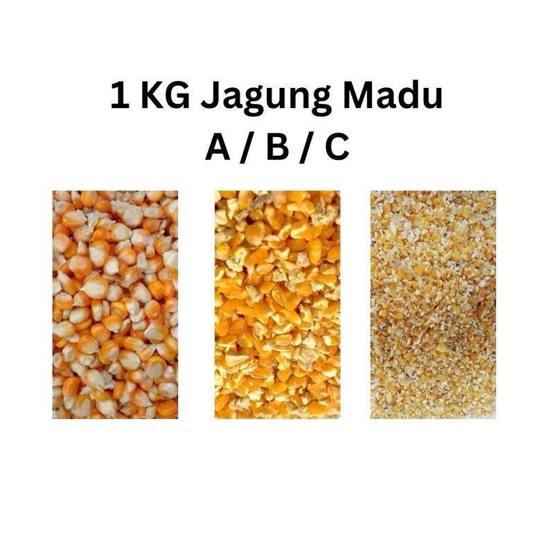 [1KG] Jagung Madu A | B | C Untuk Ternakan Ayam Itik Angsa Burung ...
