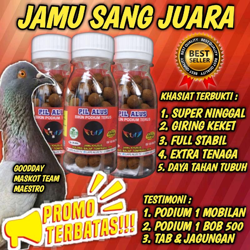 JAMU BURUNG MERPATI KOLONG PIL ALUS MERAH KHUSUS BAHAN DAN PLAYER ...