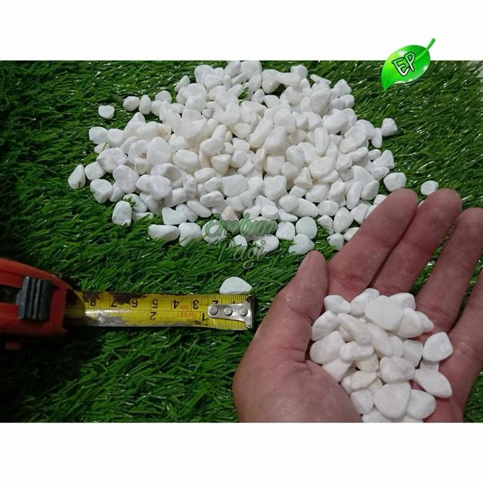 Jual Batu koral putih italy import 10kg - M - Kota Tangerang Selatan ...