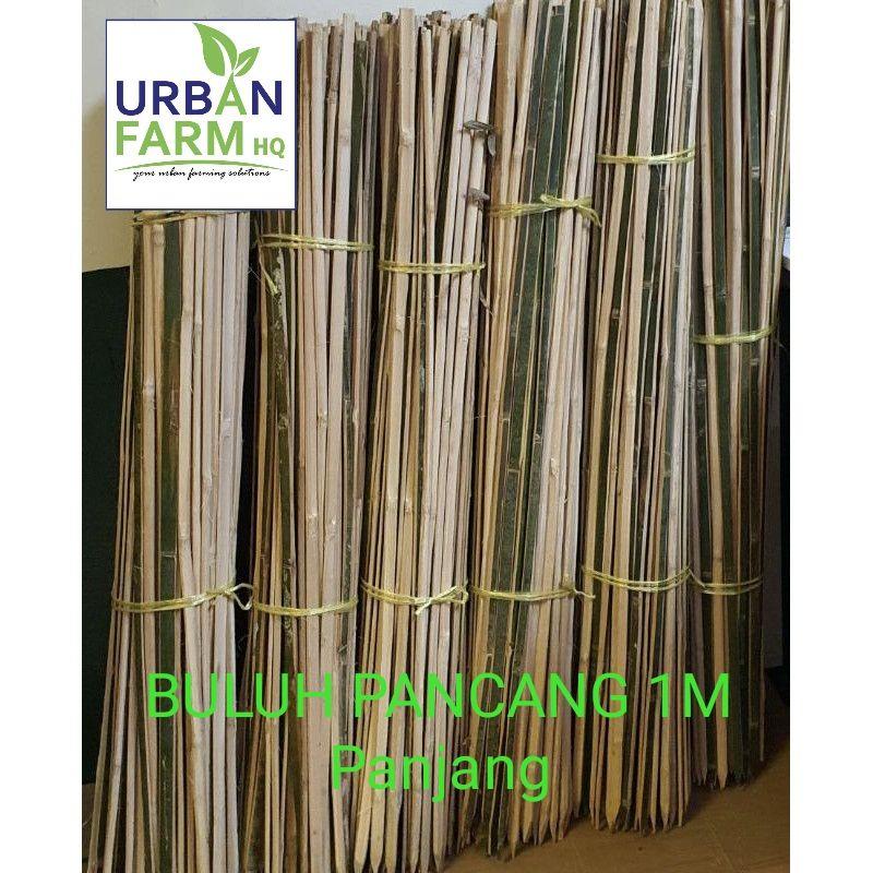 Buluh Pancang Bamboo Tree Support 3 feet Long 10PCS 3 KAKI - TikTok ...