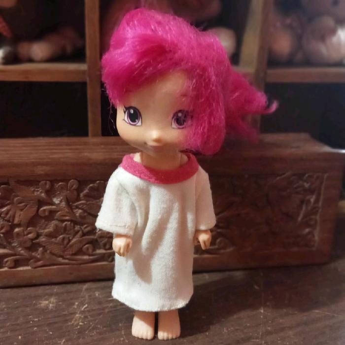 Jual Strawberry Shortcake Raspberry doll - Kab. Garut - Dewi Gita ...