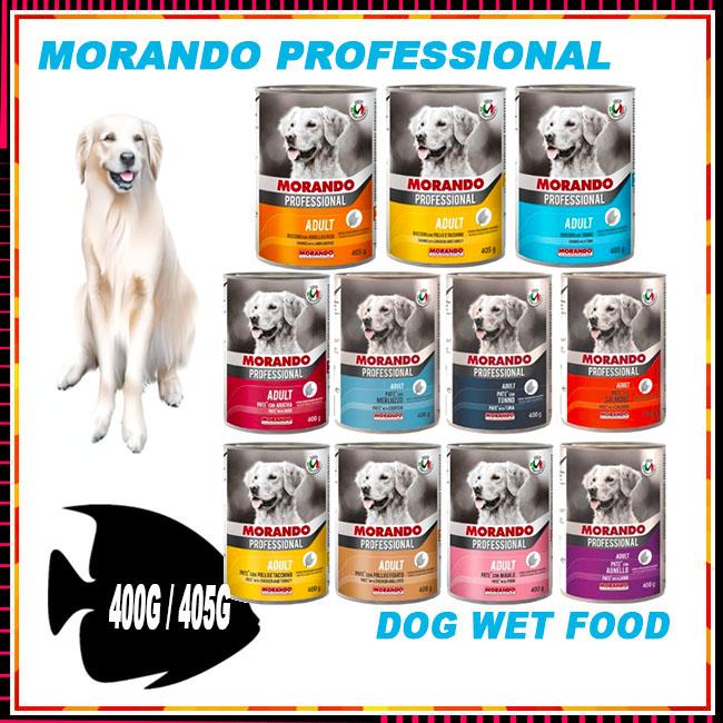 [SISTER PET] Miglior Morando Professional Adult Chunks & Pat - TikTok ...