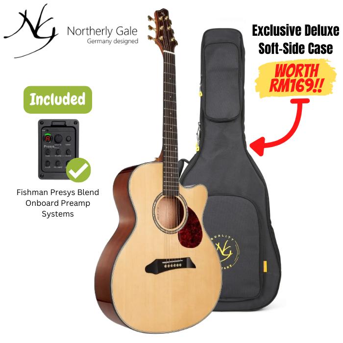 NG Northerly Gale GM411SC M-series Acoustic Guitar Natural w - TikTok ...