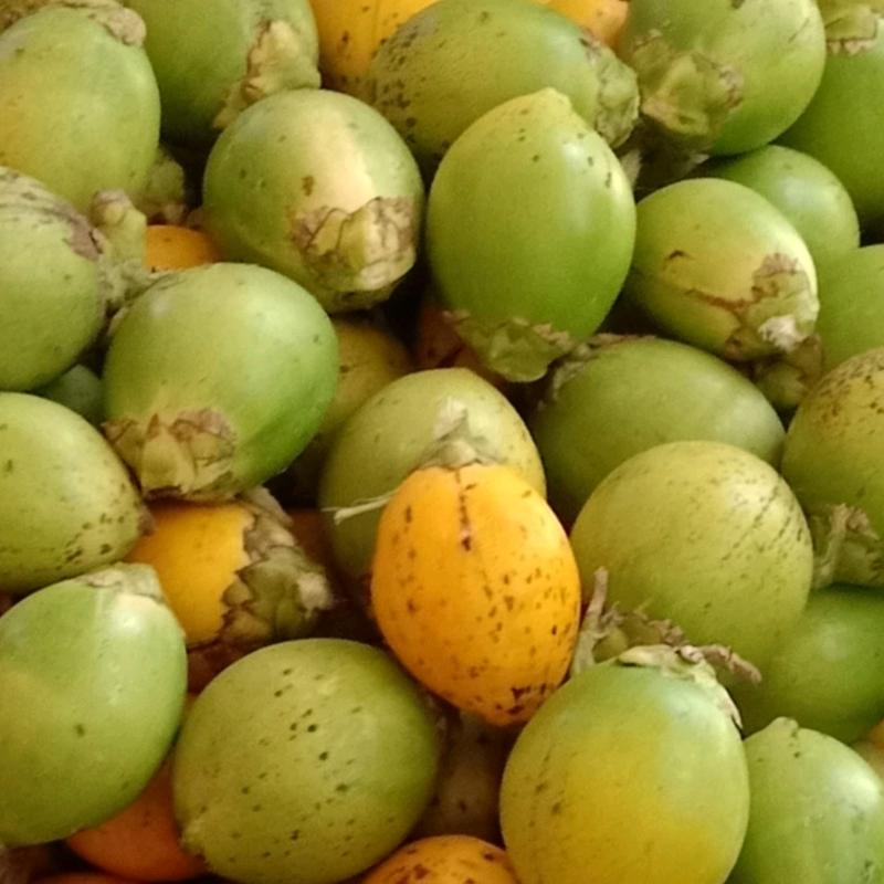 pinang muda dan tua netto 1 kg - Shop | Tokopedia
