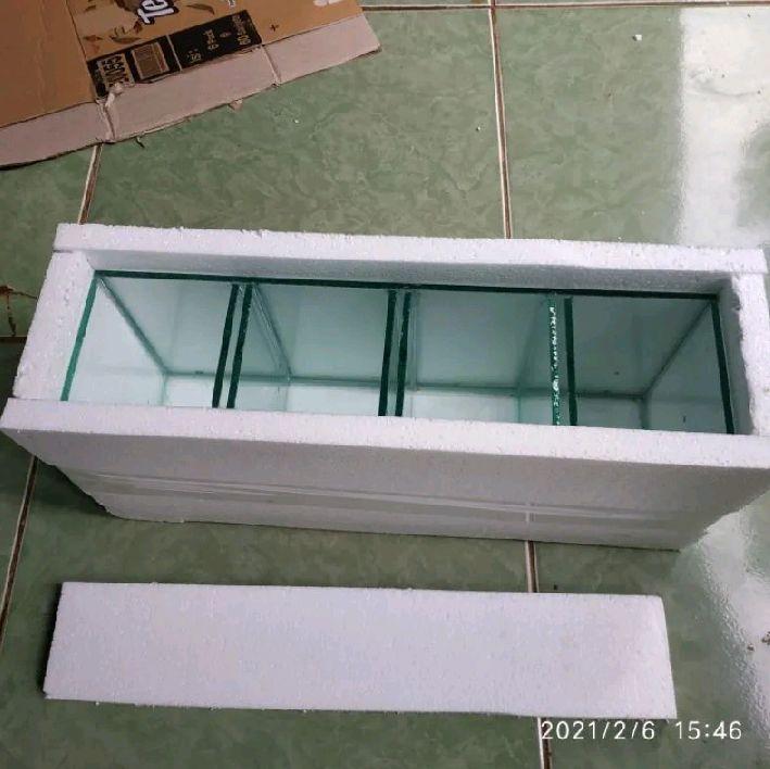 Soliter Cupang Sekat 4 Akuarium Kaca 4 Ruang - Hemat Tempat - Shop ...