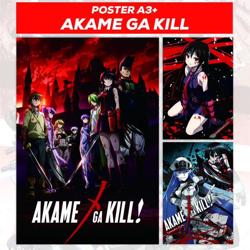 Poster Akame Ga Kill Anime Ukuran A3+ Akame Esdeath Tatsumi Leone ...