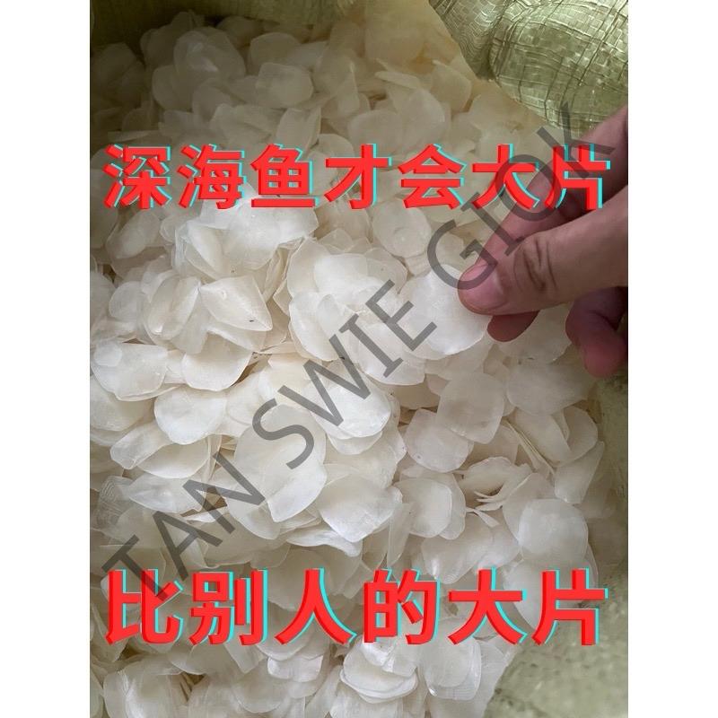 1kg Fish Scale Collagen beauty silip ikan sisik deep sea cantik ...