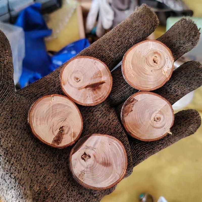 Potongan Teras Raja Kayu Putih asli - TikTok Shop Malaysia