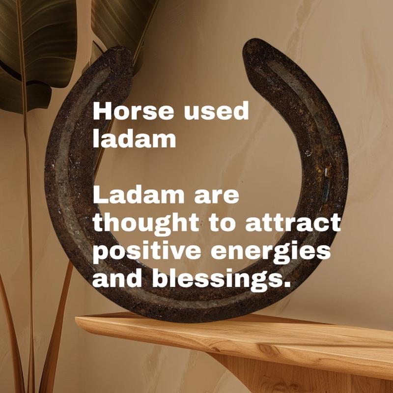 Horse ladam - TikTok Shop Malaysia