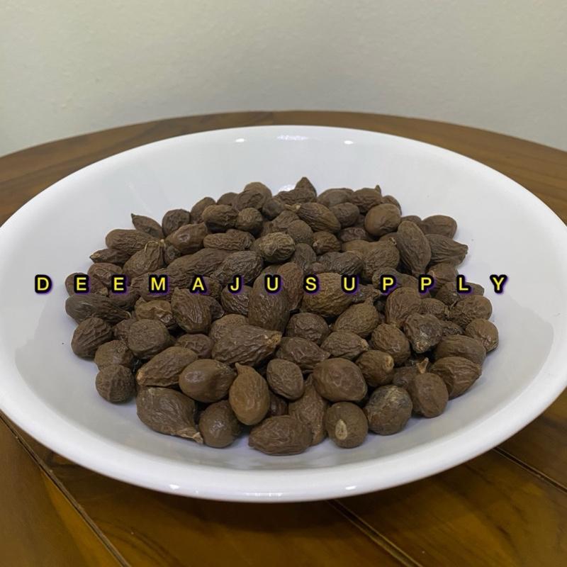 KEMBANG SEMANGKUK 1 KG / SCAPHIUM AFFINE / MALVA NUT 1 KG - TikTok Shop ...