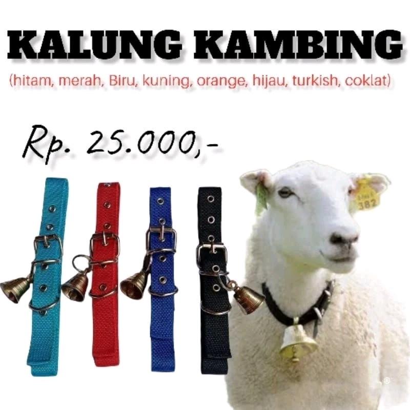 Kalung K01 Kambing Domba Cempe Cemple Anjing Dog Collar Kualitas - Shop ...