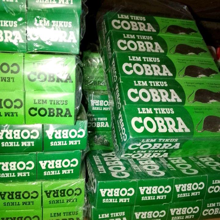 COBRA Lem Tikus Cobra Super Lengket Bening Tidak Berbau & Tidak Beracun ...