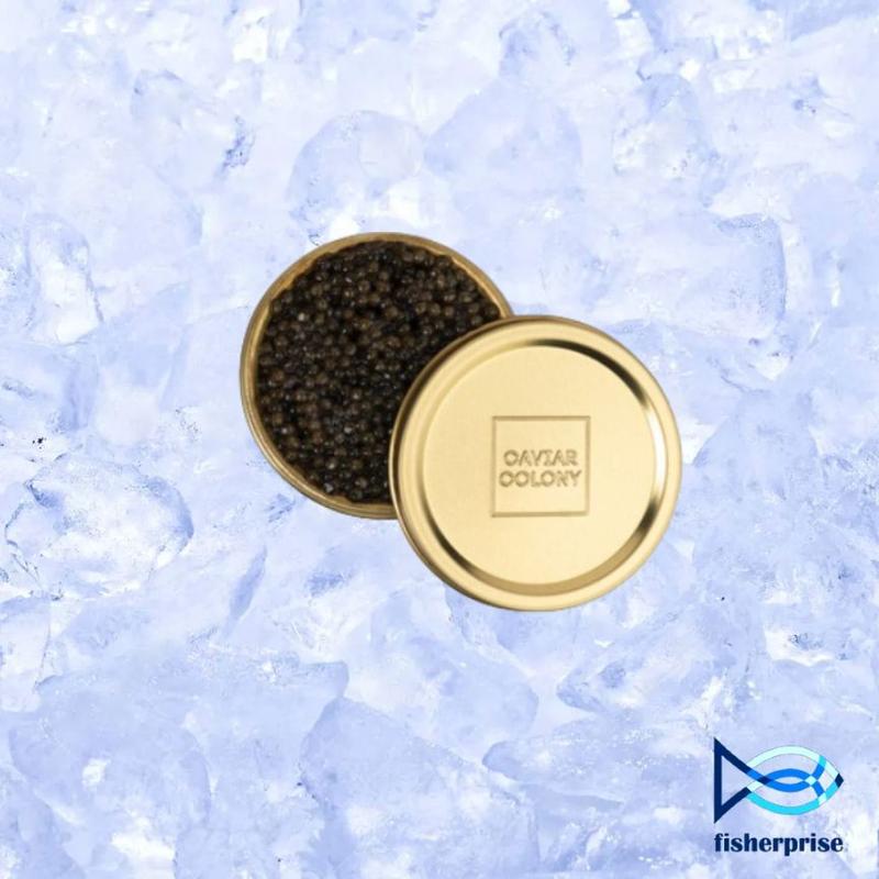 Kaluga Hybrid Caviar (Fish Roe) 30g - TikTok Shop Malaysia