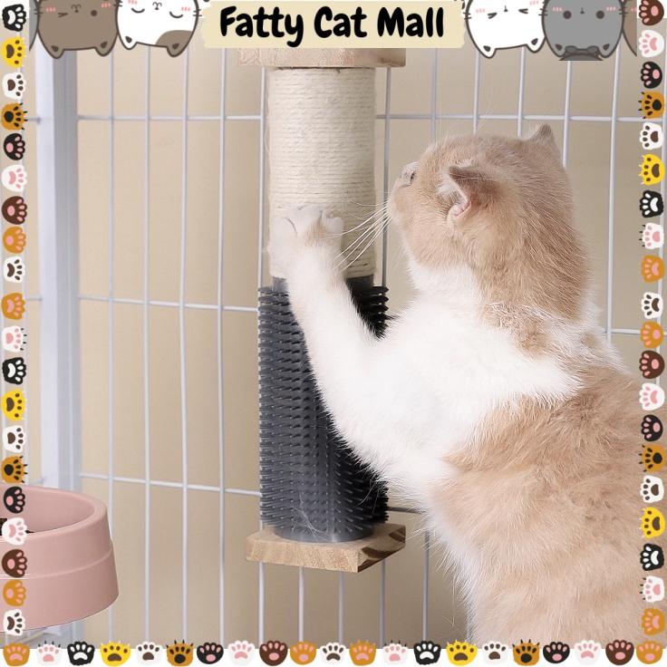 2in1 Hanging Brush Pole Scratching Pole Cat Toy Cat Cakar - TikTok Shop ...
