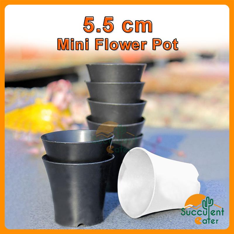 Mini Flower Pot Pasu Bunga Kecil - TikTok Shop Malaysia